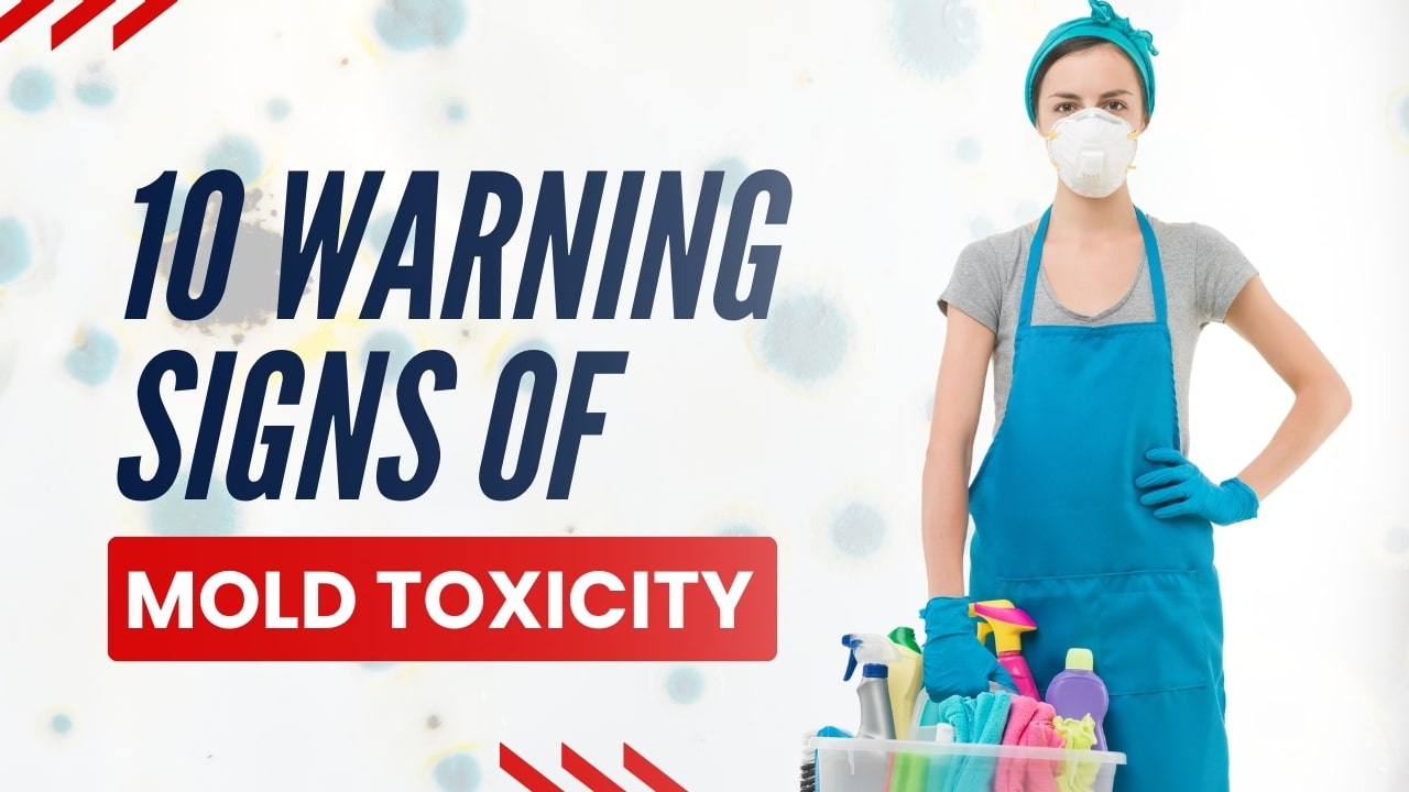 What Are The 10 Warning Signs Of Mold Toxicity?